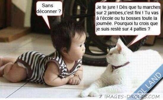 Un petit pas pour nous, un grand pas pour Craquotte - Mamour blogue